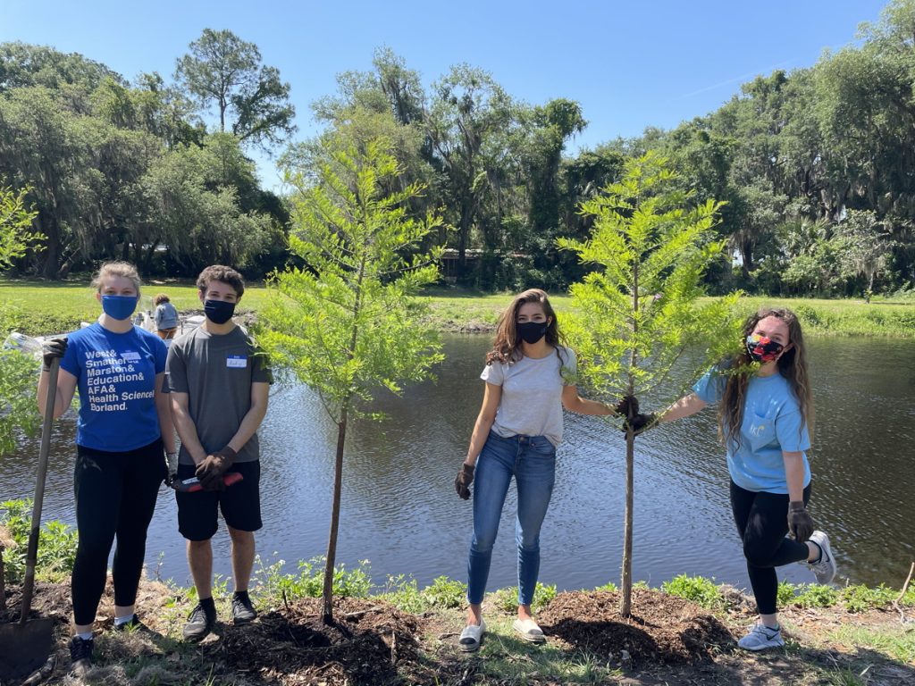 Trees! Spring 2021 - Imagining Climate Change