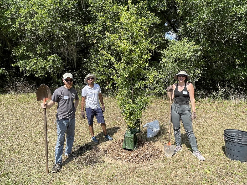 Trees! Spring 2022 - Imagining Climate Change
