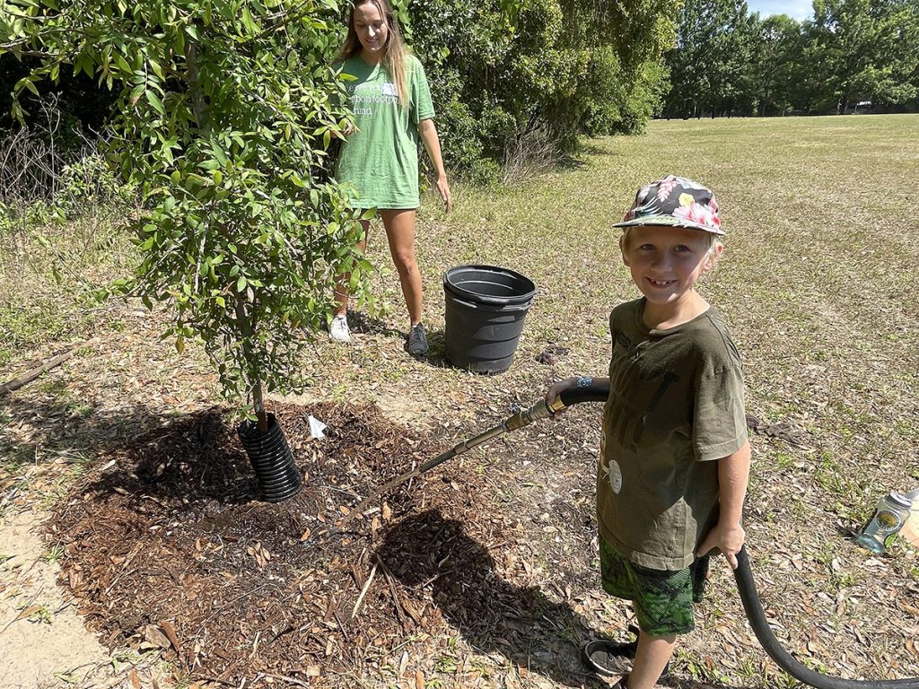 Trees! Spring 2022 - Imagining Climate Change