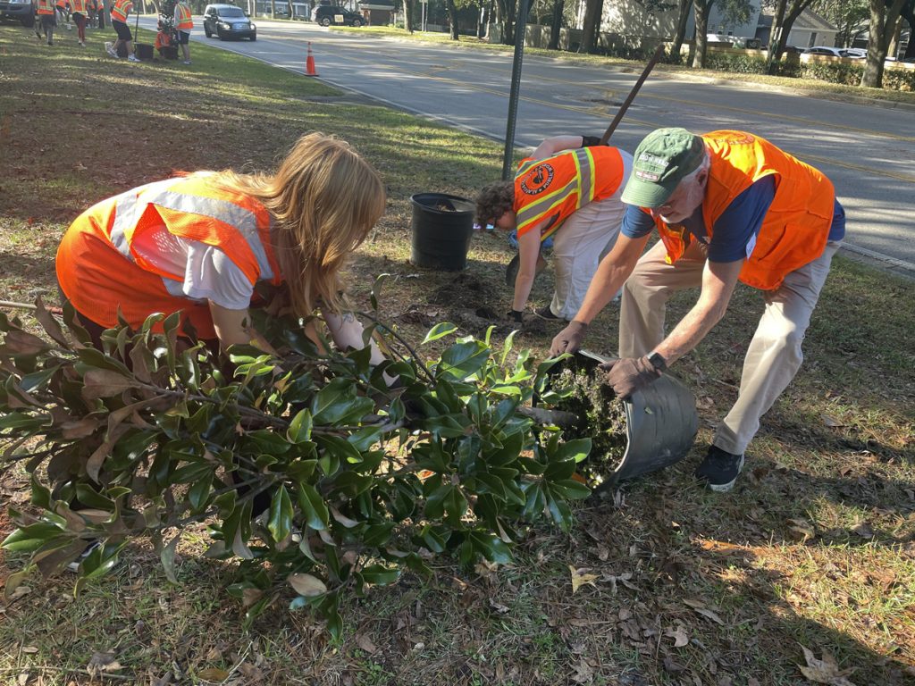 Trees! Fall 2022 - Imagining Climate Change