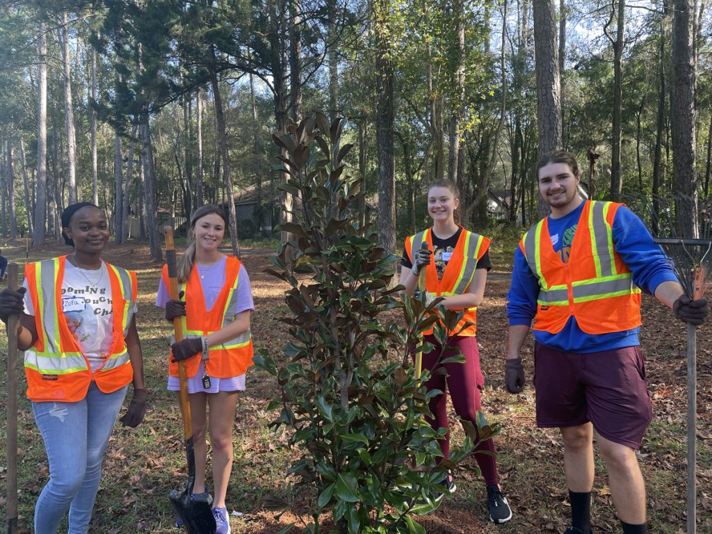 Trees! Fall 2022 - Imagining Climate Change