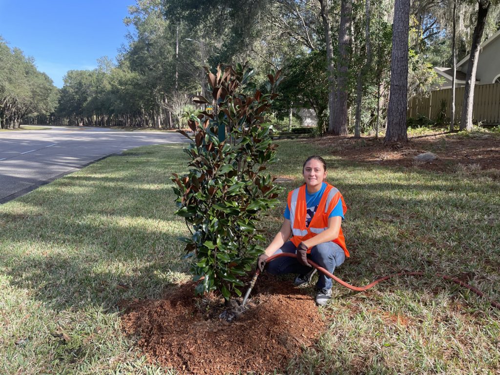 Trees! Fall 2022 - Imagining Climate Change